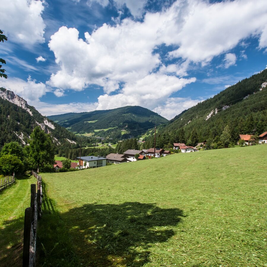 Panoramaweg 100 - Etappen nördlich der Enns